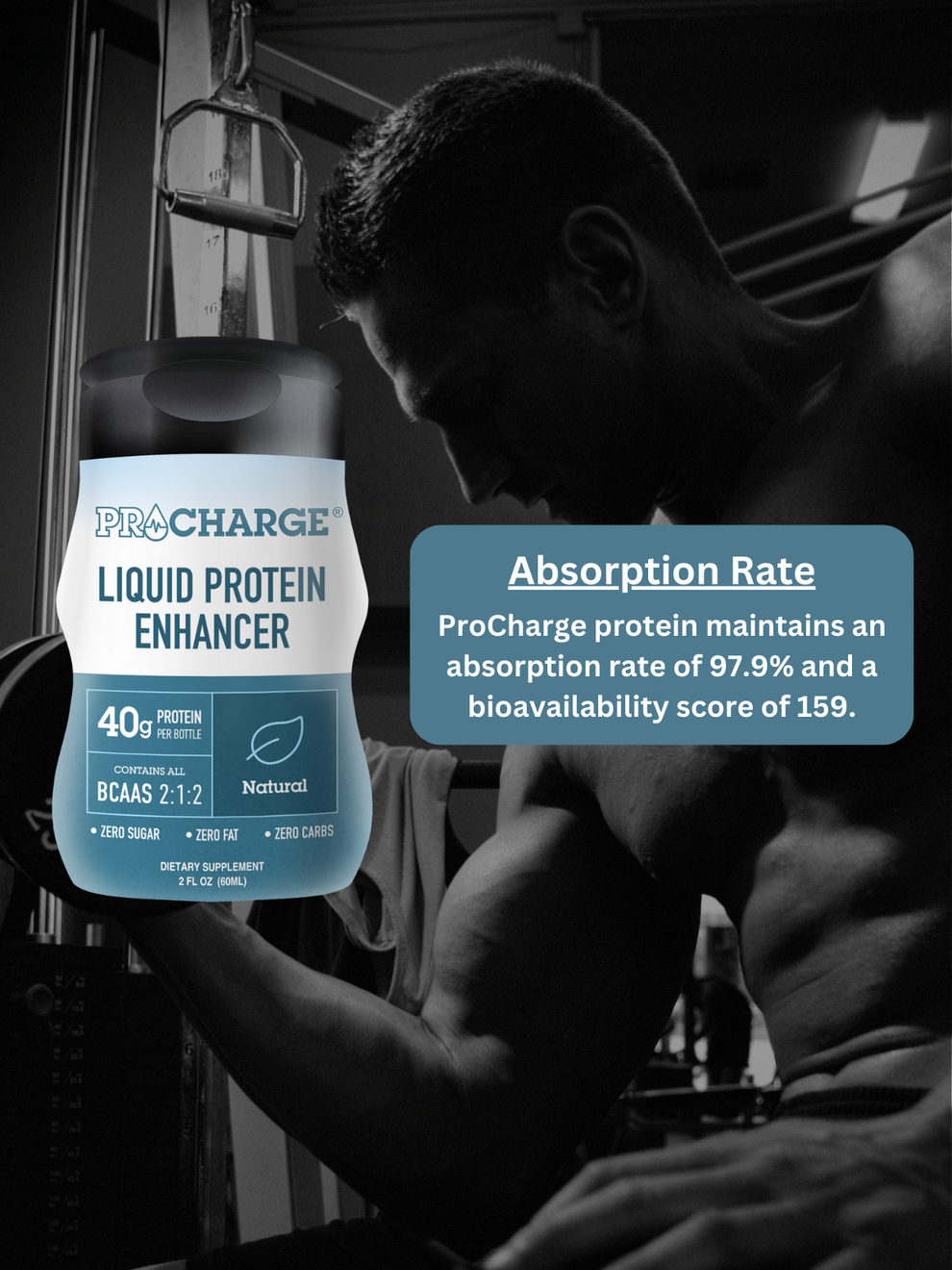 Procharge Protein - Official Store – Pro Charge